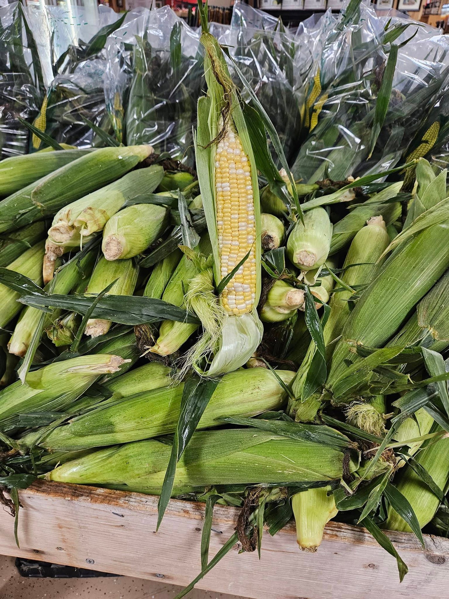 Summer – Gatewood Vegetable Farm & Greenhouses, Inc.